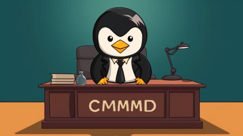 Mastering 'chmod' In Linux: A Guide To File Permissions